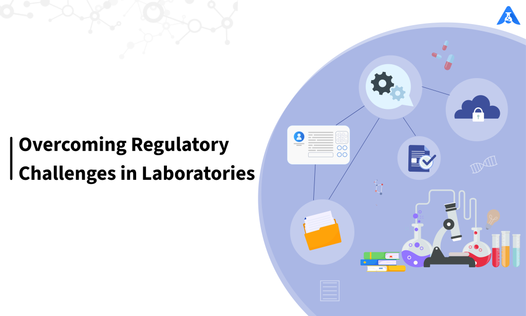 Overcoming Regulatory Challenges in Laboratories - Blogs Agaram ...